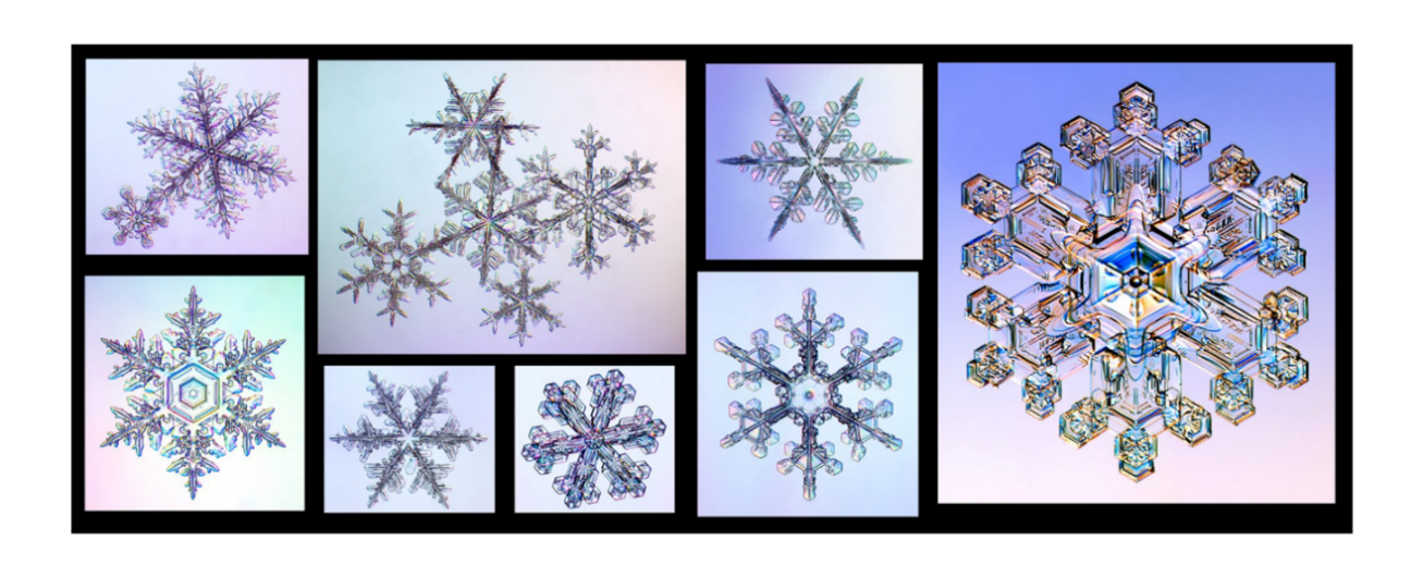 La formation des flocons de neige - Musée de la biodiversité du Québec