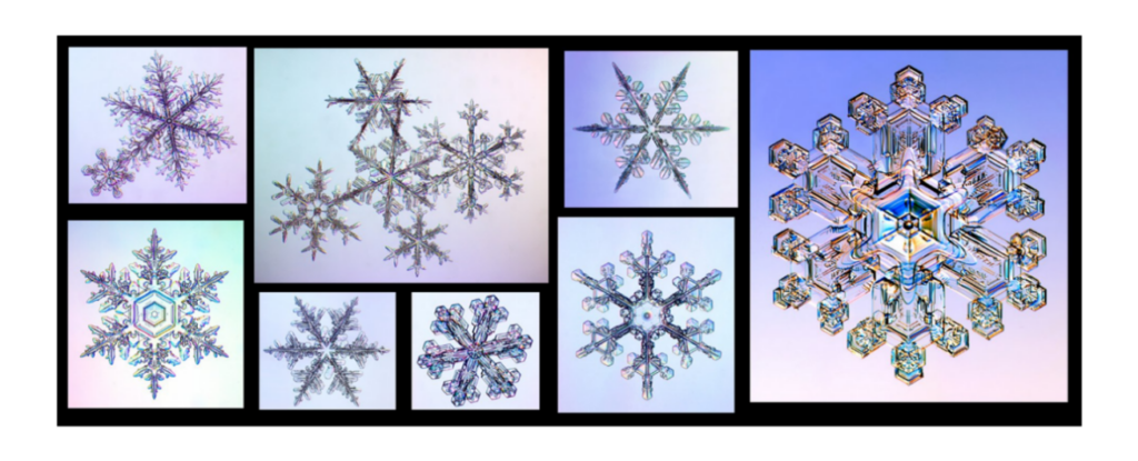 La formation des flocons de neige - Musée de la biodiversité du Québec